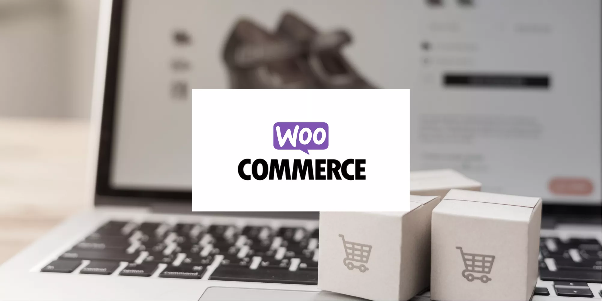 Apa itu WooCommerce? Pengertian, Manfaat, dan Tipenya - Badr Interactive